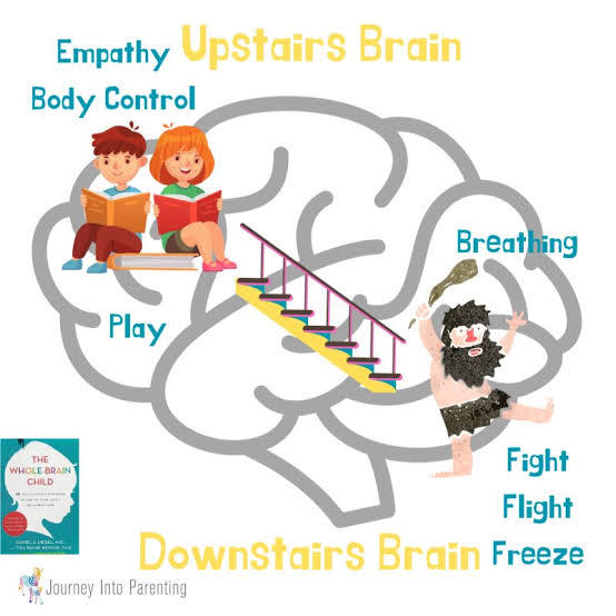Social- Emotional Intelligence: Understanding The Upstairs and ...
